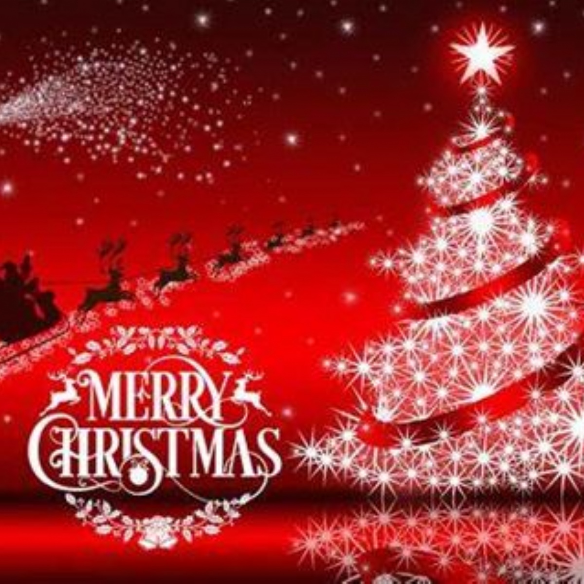 The Academy of Woodlands - Christmas doors